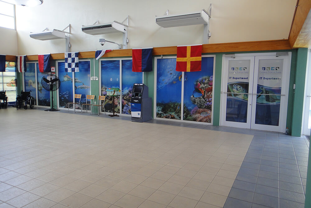 Custom Building Signs in Cayman Island - Sign Solutions